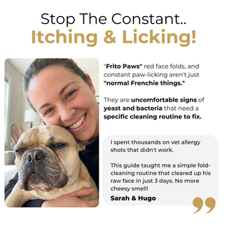 The Complete Frenchie Guide – Frenchie Formula
